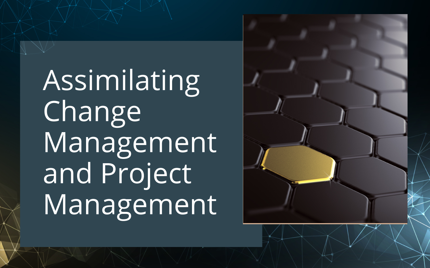 Assimilating Change Management and Project Management - The CRM Team