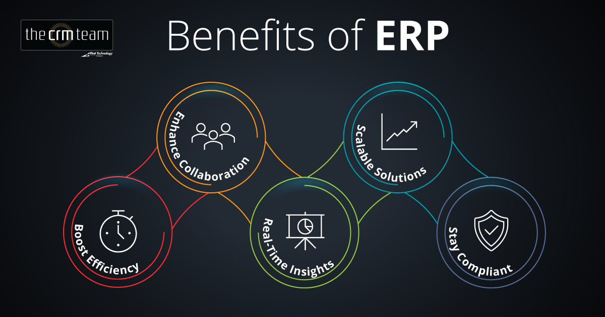 Microsoft ERP | The CRM Team
